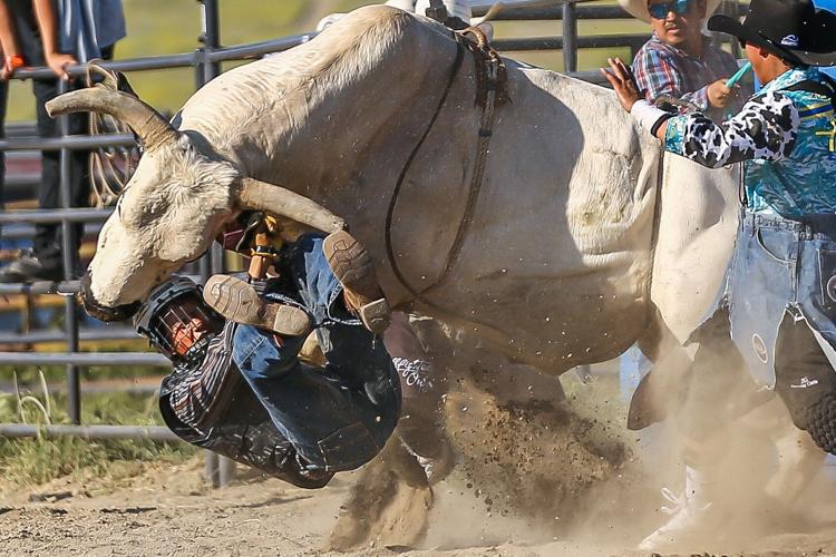 Crow Native Days: Rodeo, Battle of Little Big Horn, Powwow! | APG State ...