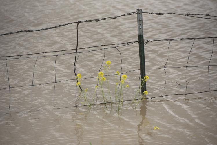 Photo Gallery: Flooding on Gallatin River | Bozeman ...