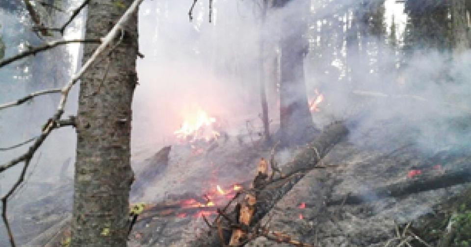 Forest crews spot Lionshead fire in heavy fuels and brush | News ...
