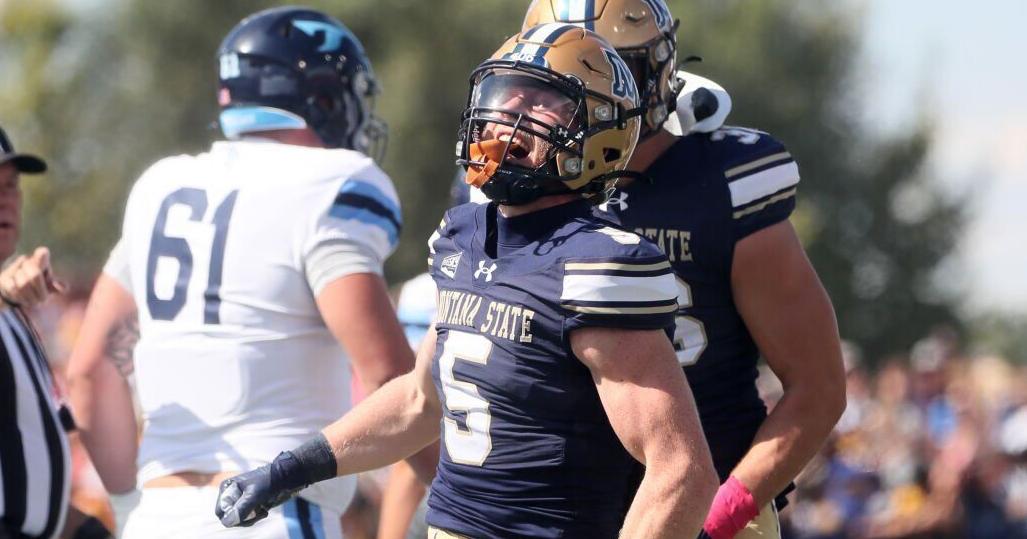 Caden Dowler of MSU named Big Sky defensive player of year | Bobcats ...