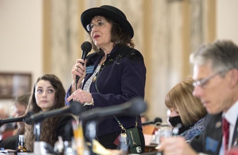 Montana Legislature taking up broad slate of bills aimed at abortion ...