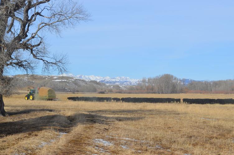Gianforte talks economic priorities at ranch north of Livingston ...