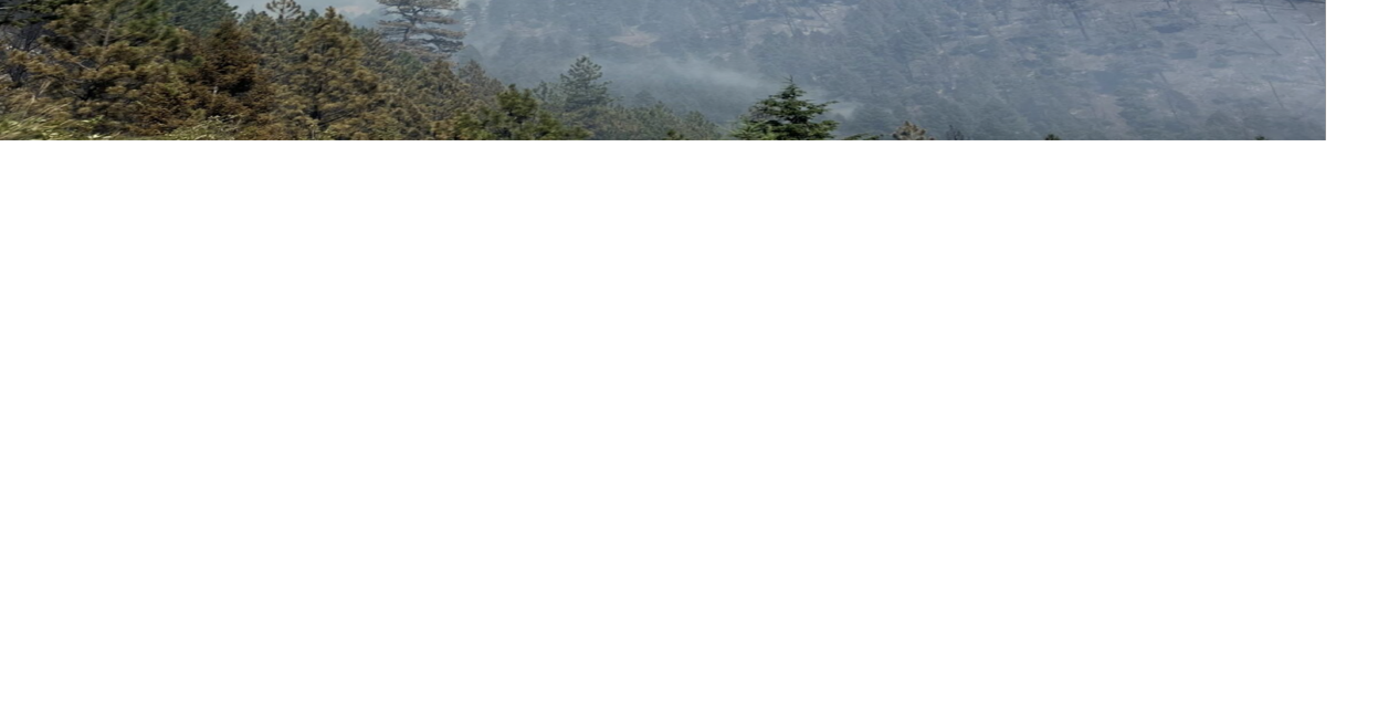 Three large wildfires burning in Montana as weather stubbornly hovers ...