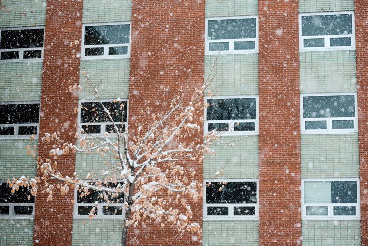 Midweek storm dumps more snow on Bozeman | News | bozemandailychronicle.com