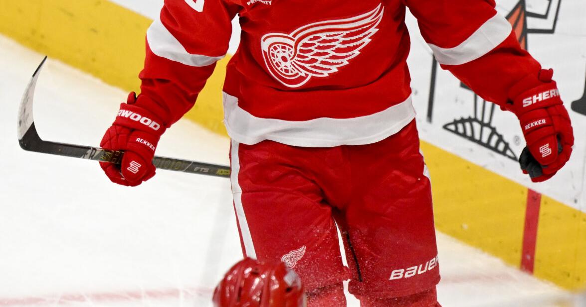 DeBrincat nets team-high 26th in OT as Red Wings beat Senators 4-3 ...