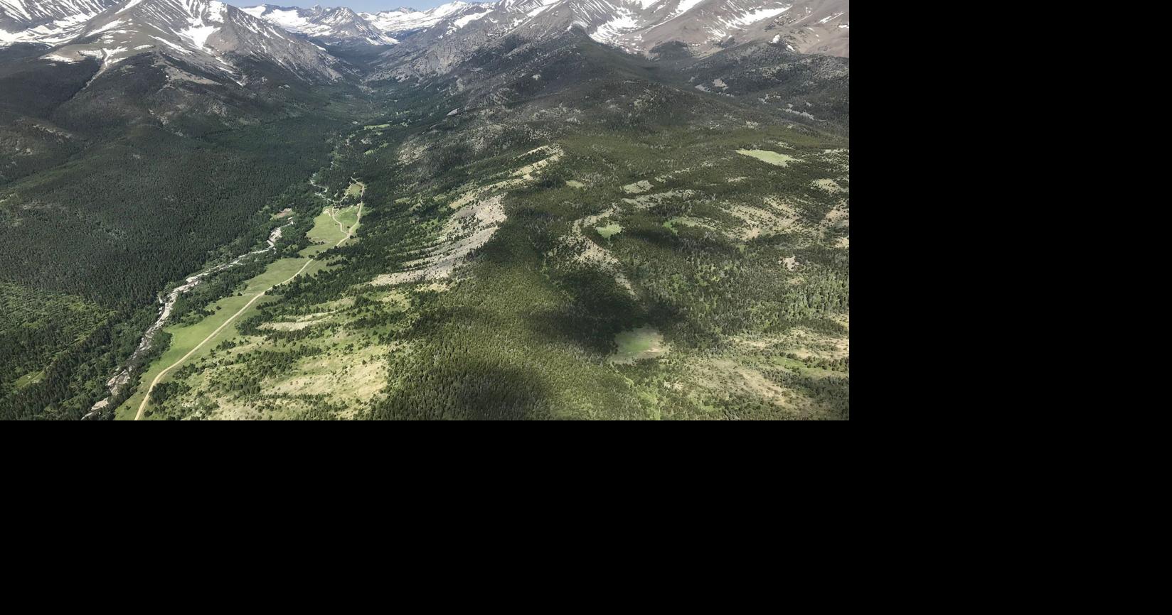 Amy Gamerman’s ‘The Crazies’: A Montana Land Battle | News ...