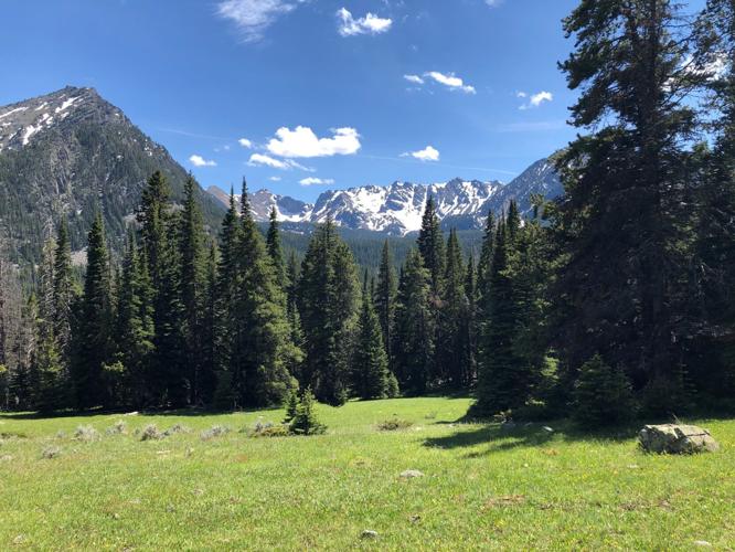 US Forest Service adds nearly 750 acres in two land deals | Environment ...