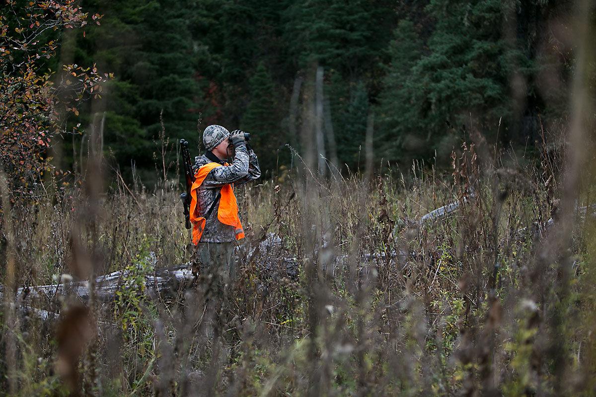 FWP faces challenges managing elk with public hunting | Wildlife ...