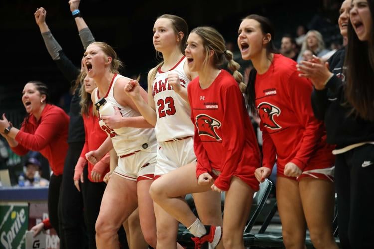 Bozeman girls lose rebounding battle, drop state opener to Kalispell ...