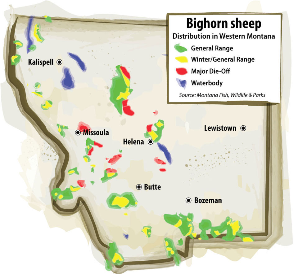 Map Where Are Domesticated Sheep
