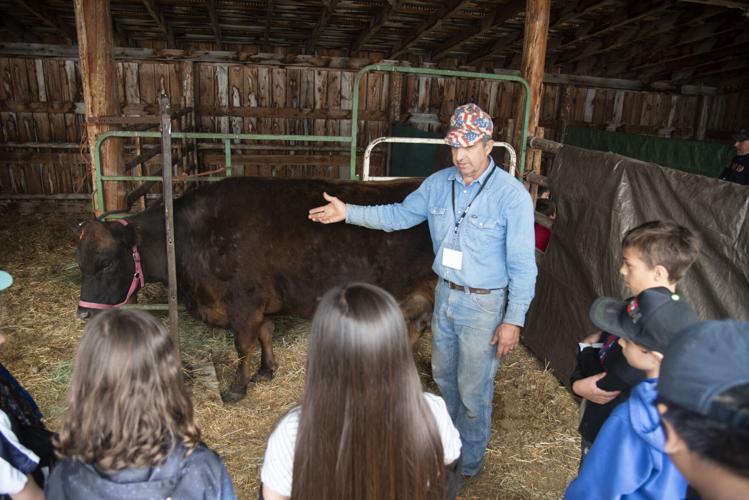 Farm Fair returns for Gallatin County fourth graders | Agriculture ...