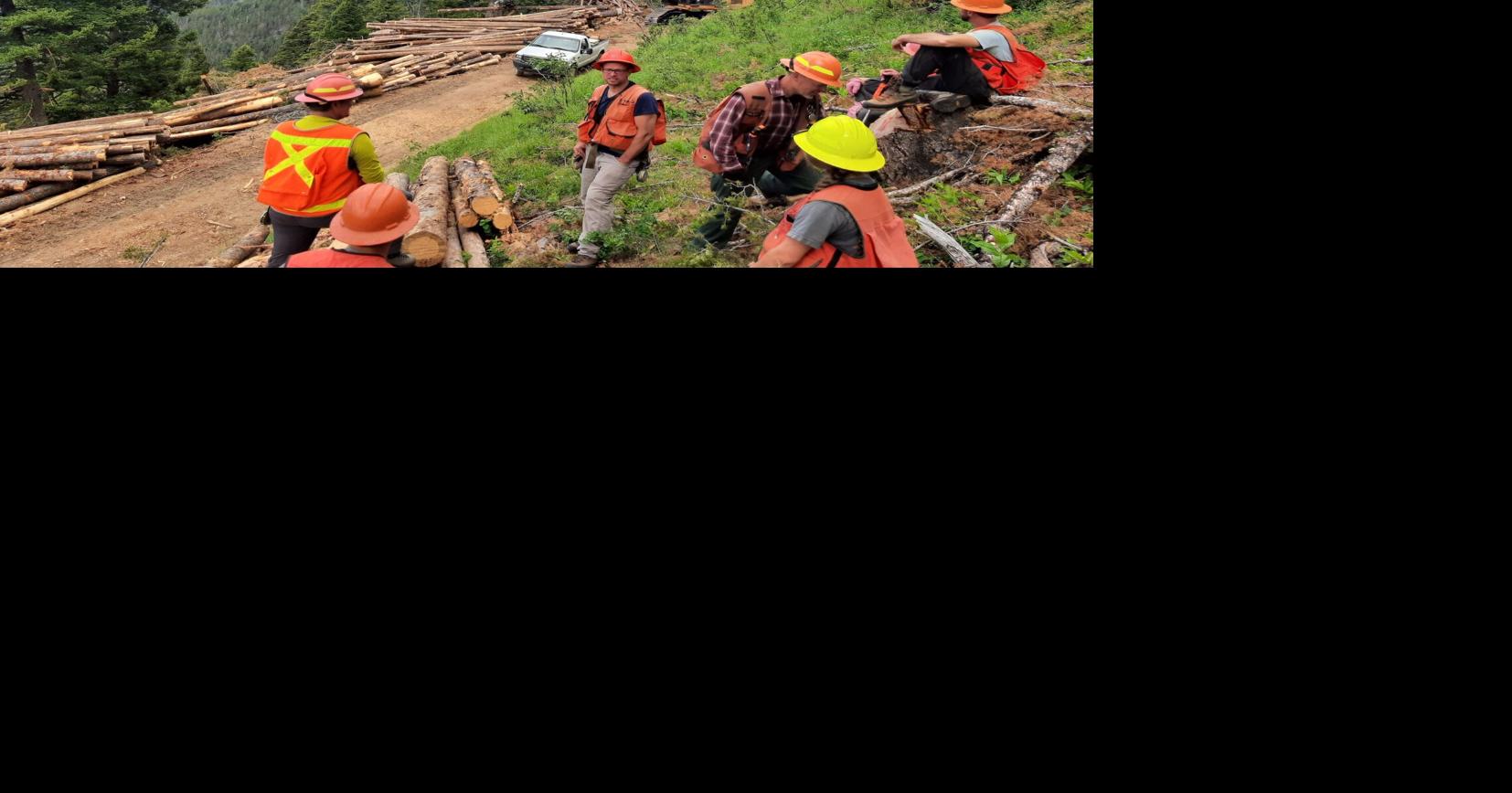 Forest Service develops ‘sustained yield’ aimed at propping up Montana ...