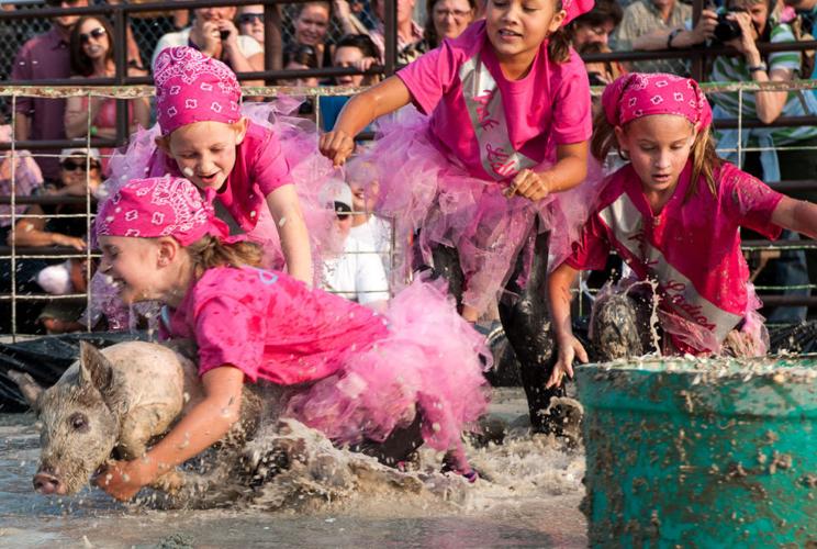 Pee Wee Pig Wrestling | Featured | bozemandailychronicle.com