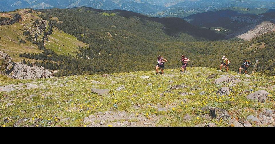 Federal judge: Forest Service can improve wilderness area | Environment ...