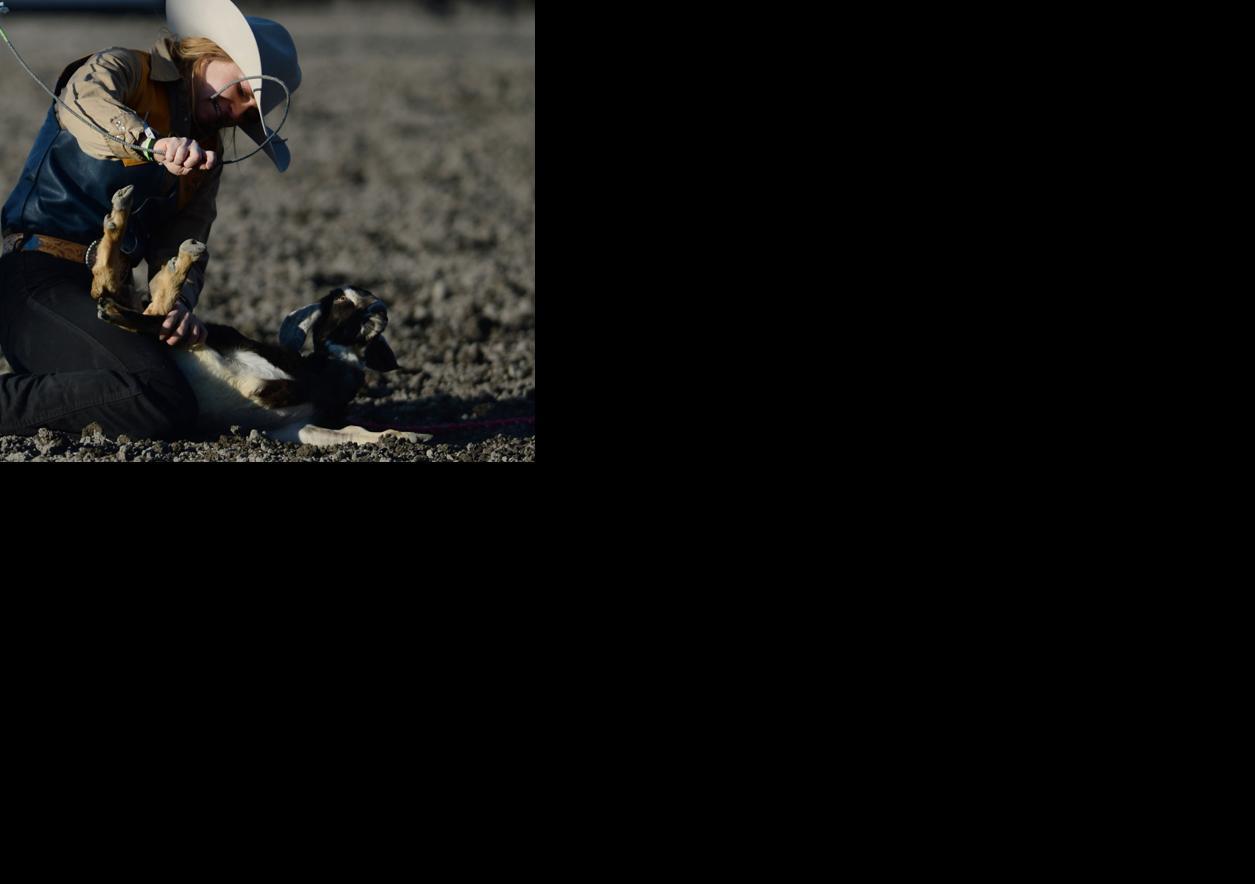 Montana State's Rasmussen, Whitman bring all-around credentials to ...