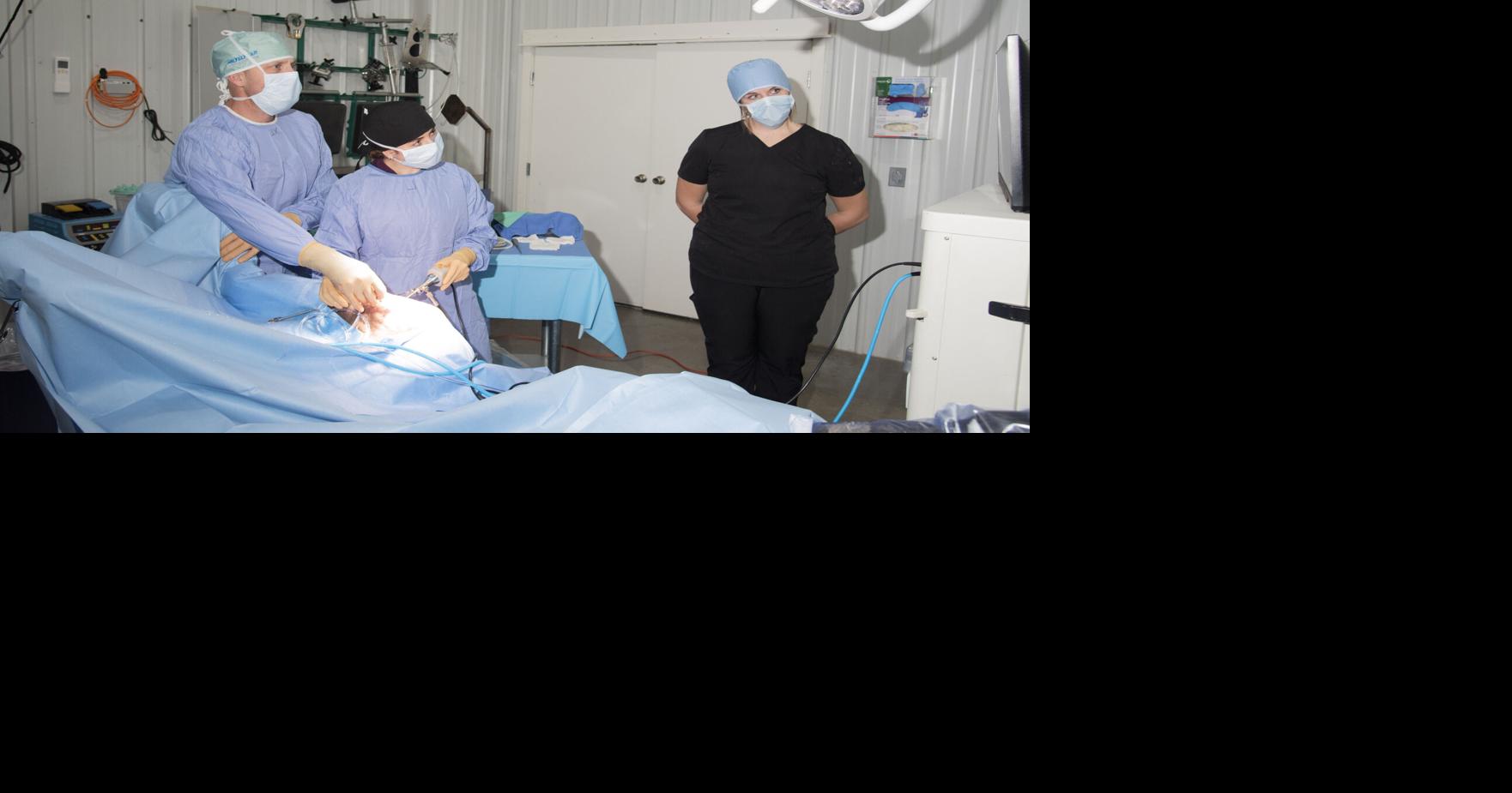 Equine surgery center near Bozeman continues helping Montana horses ...