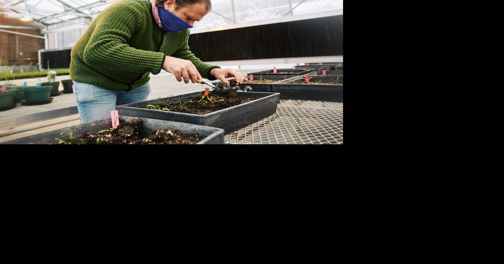 Montana State researchers seek volunteers for sustainable food waste ...