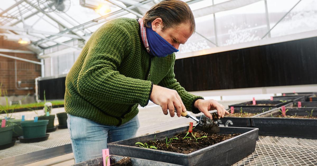 Montana State researchers seek volunteers for sustainable food waste ... Montana State researchers seek volunteers for sustainable food waste ...
