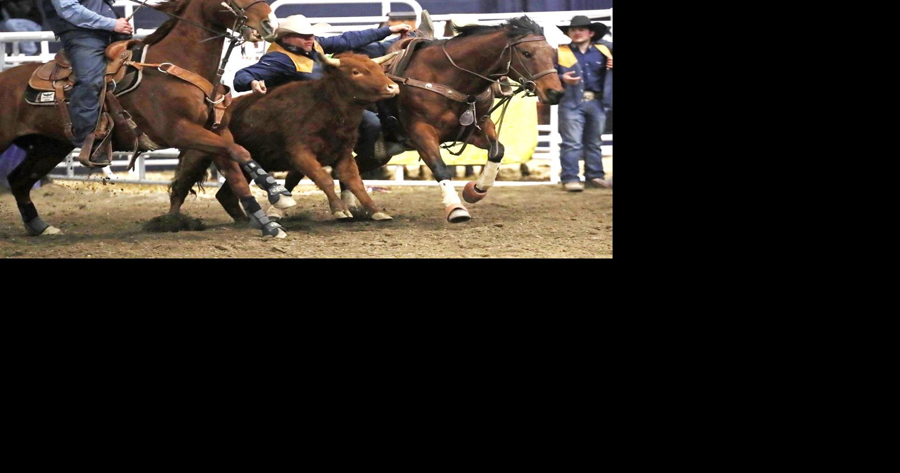 Montana State's Cole Detton named steer wrestling Reserve Champion at ...