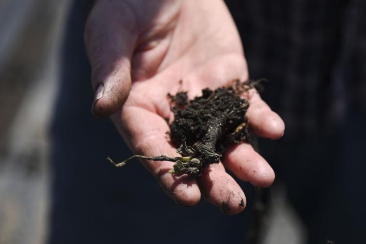 'Mother Nature is the boss': Community rallies to support hail-damaged ...