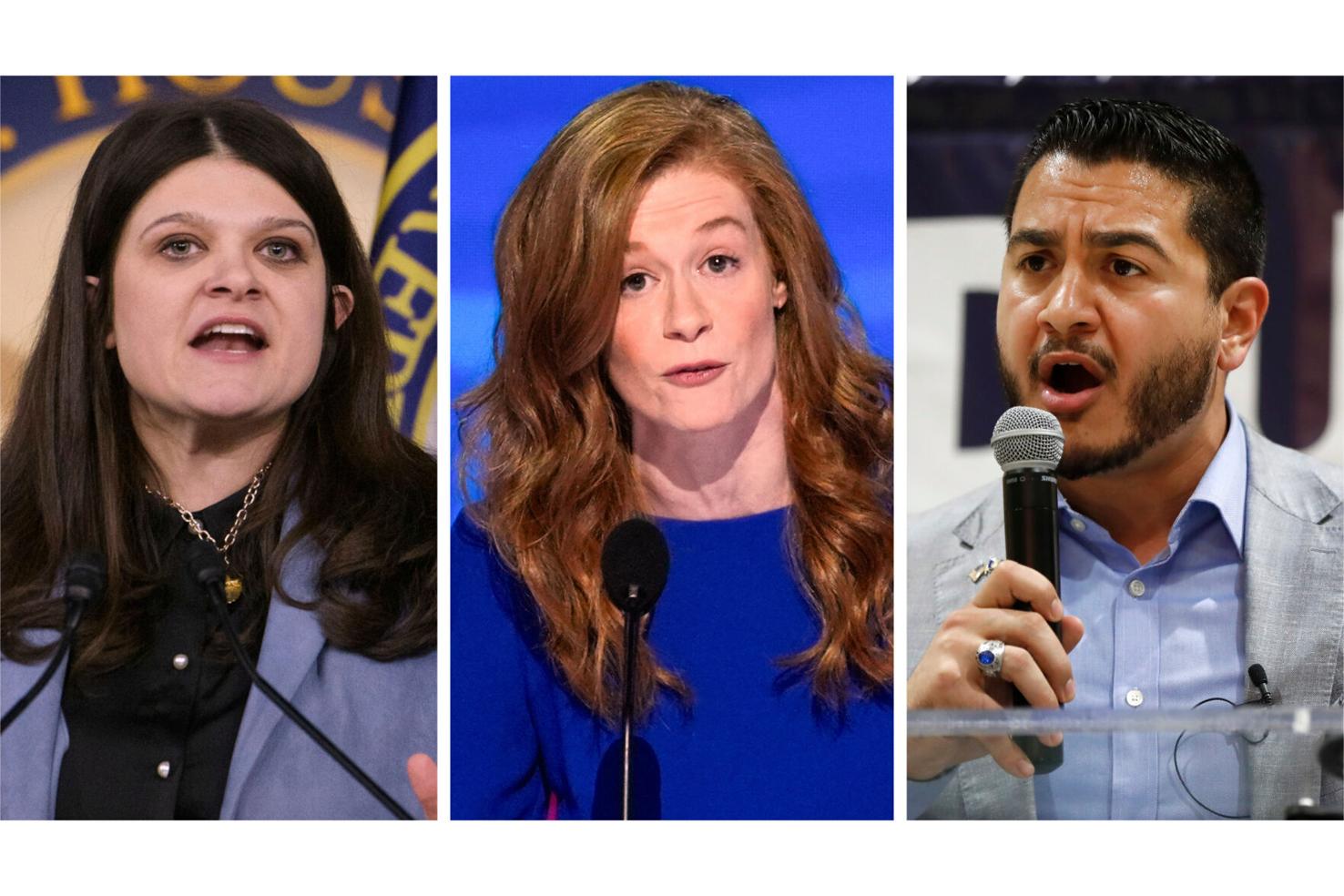 Michigan Democrats get a chance to make their case for the Senate and ...
