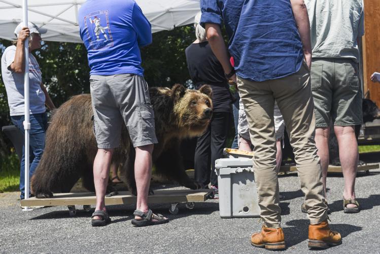 FWP holds safety training in Bozeman to prevent human-bear conflicts ...