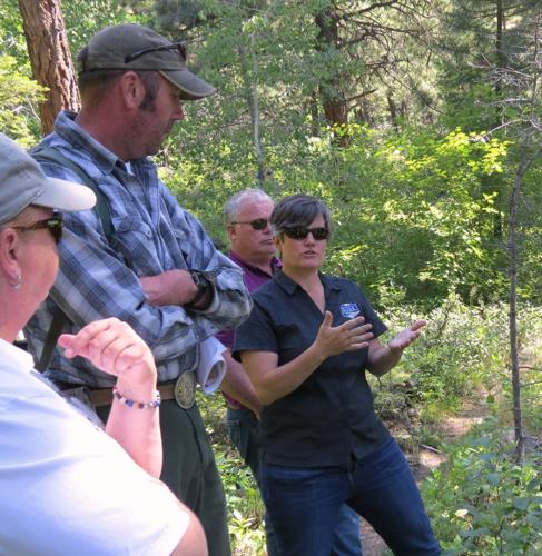 Montanans selected for presidential wildfire commission | Environment ...