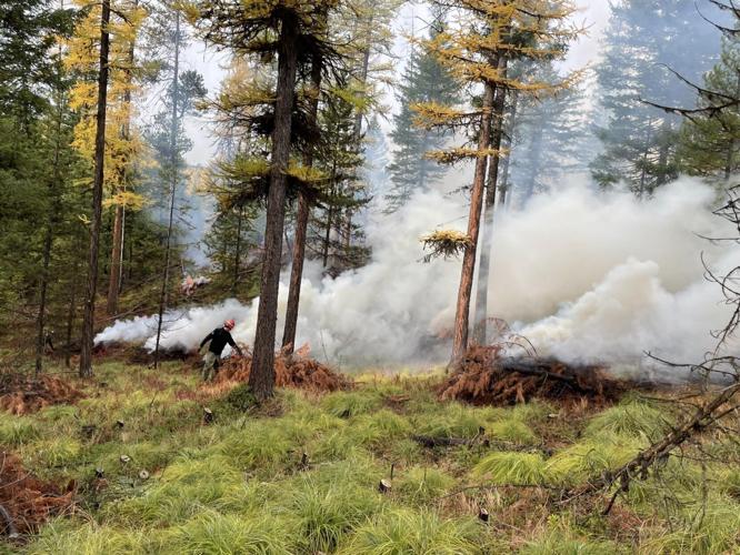 Forest Service goes 'full suppression' on wildfires | News ...