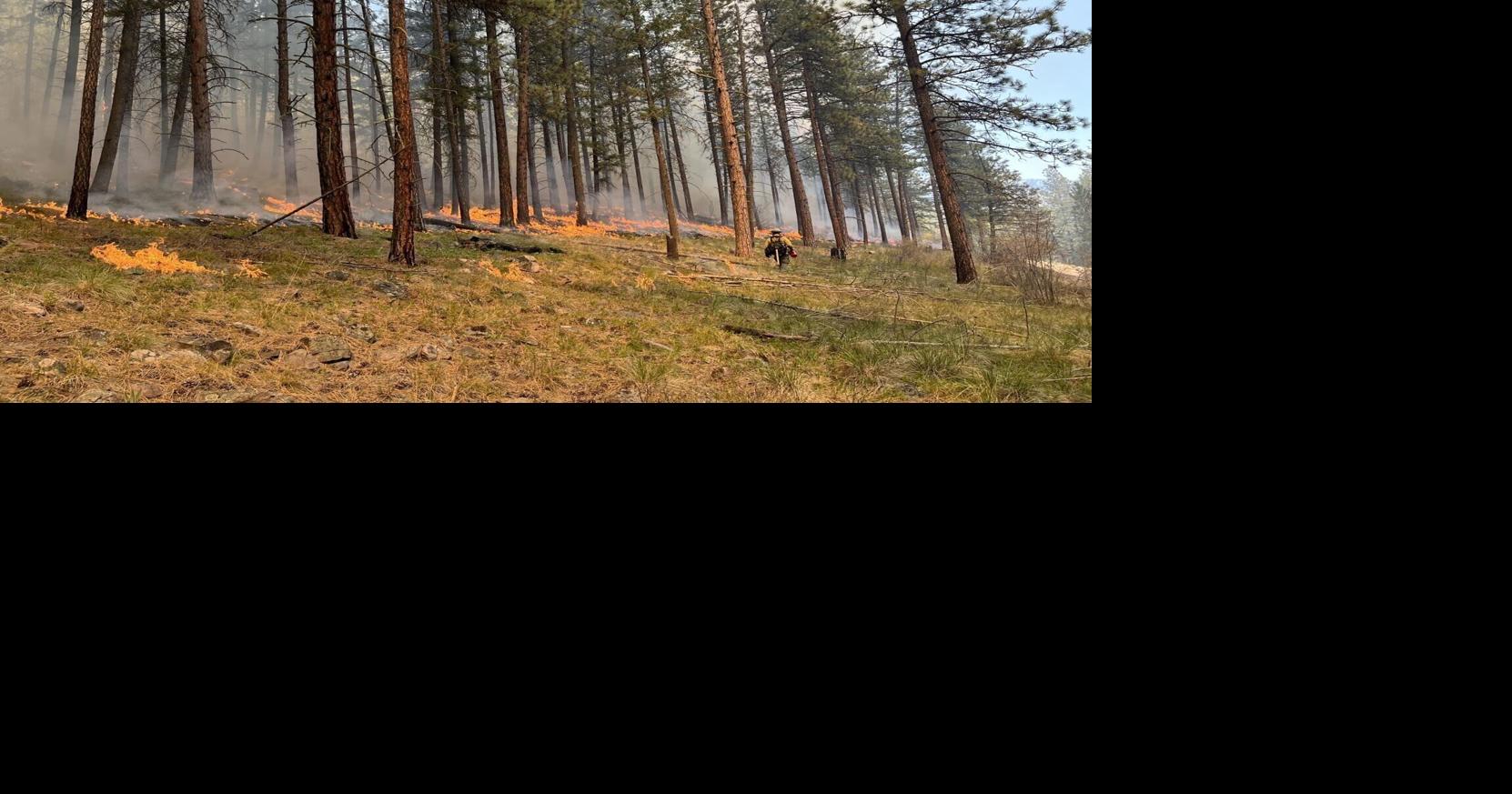 Forest Service goes 'full suppression' on wildfires | News ...