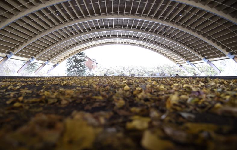 Pavilion at Bozeman's Bogert Park reopens with new name | City ...