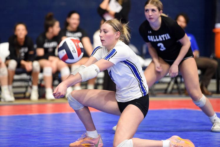 Gallatin athletes in track and field, football, golf and volleyball ...