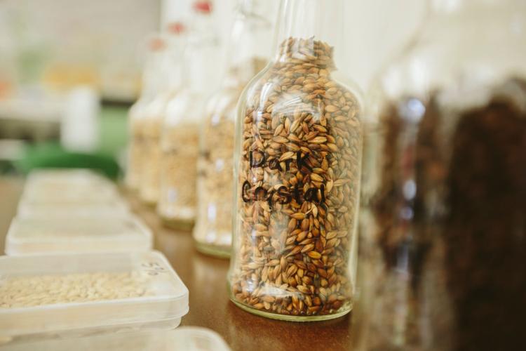 MSU Malt Quality Lab provides barley malt analysis for craft beer ...