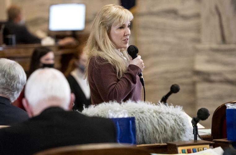 Montana Legislature taking up broad slate of bills aimed at abortion ...