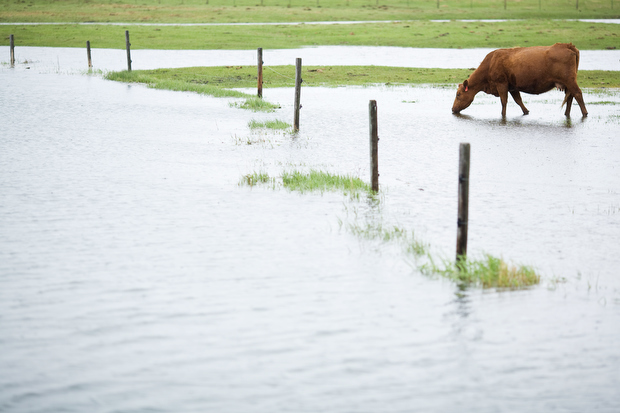 Bozeman area flooding May 25, 2011 | News | bozemandailychronicle.com