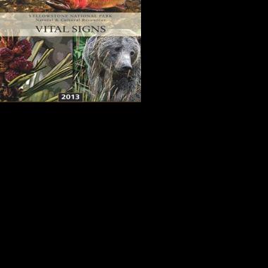 Yellowstone report: Climate, invasive species affect ecosystem ...