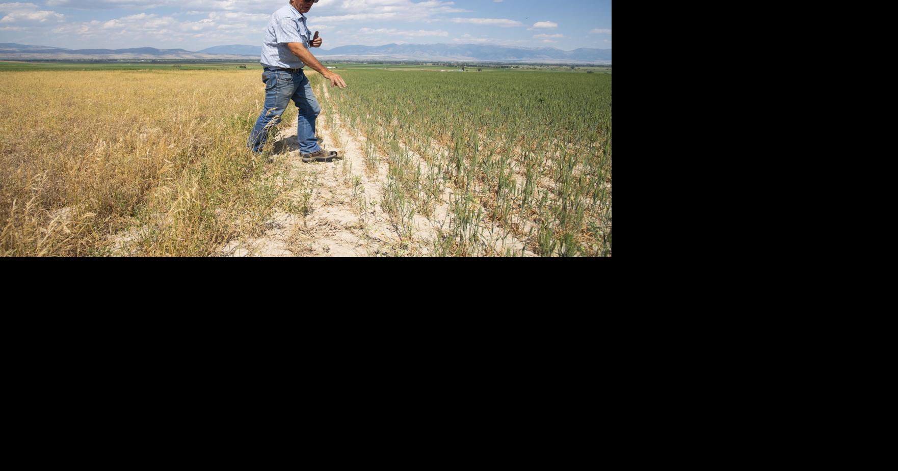 Drought conditions likely to persist through fall and winter, experts ...