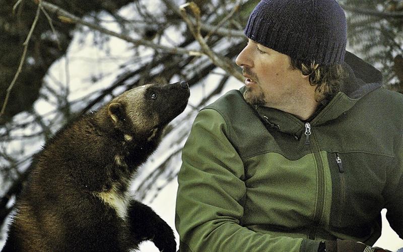 Picture this! Montana filmmaker forgets cameras in grizzly caves north ...