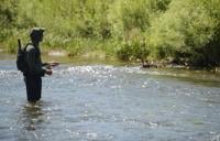 Connecting with conscience: Simms launches fishing movement centered on ...