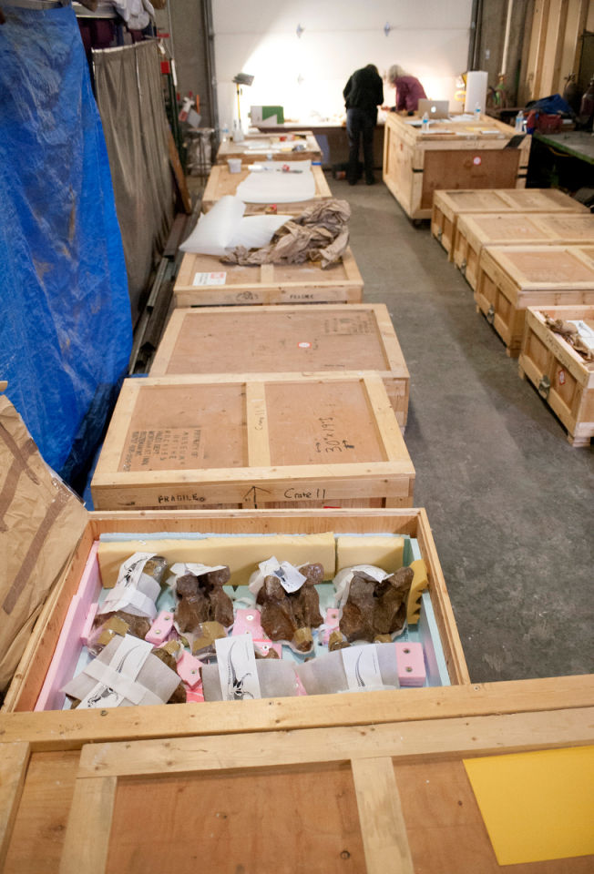 Wankel T. rex gets new home in Smithsonian dinosaur hall | News ...