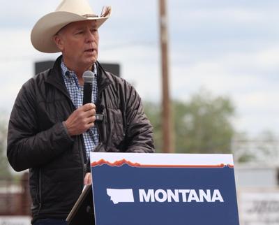 executive privileges ltd