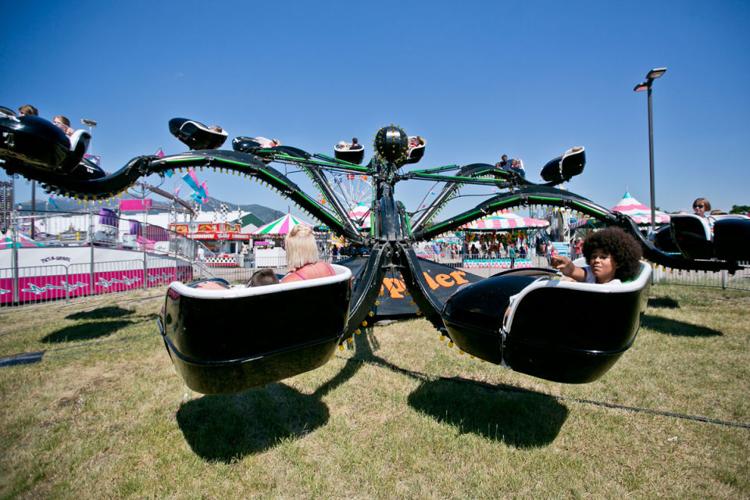 Gallatin County Fair | News | bozemandailychronicle.com