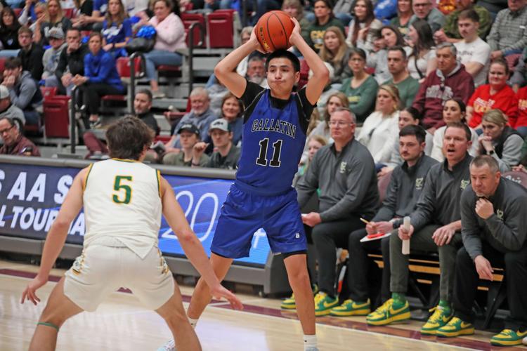 Gallatin boys advance to Class AA title game with win over Great Falls ...