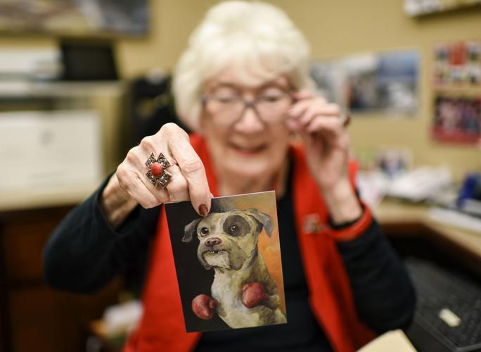 Phyllis Conner: Crazy for cats and dogs | Everyday People ...