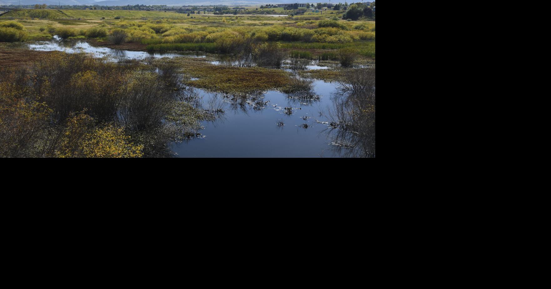 Stepping in: Bozeman working on updating wetlands code after SCOTUS ...