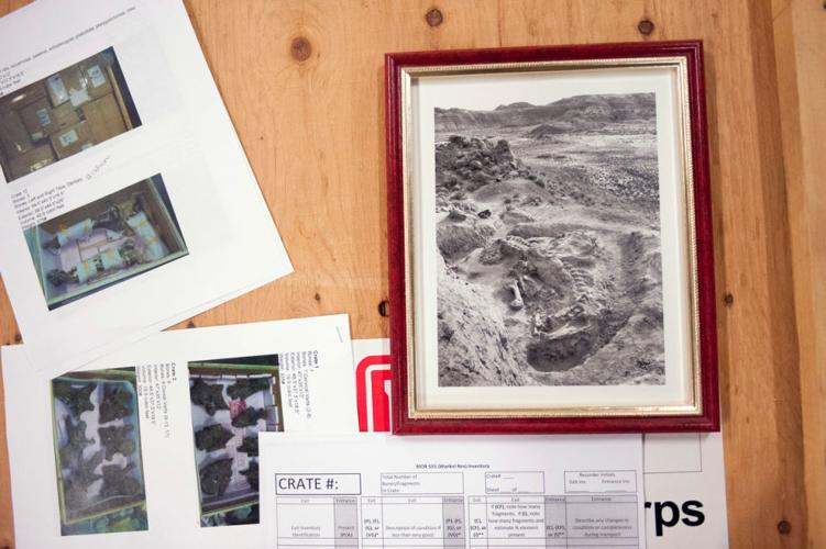 Wankel T. rex gets new home in Smithsonian dinosaur hall | News ...