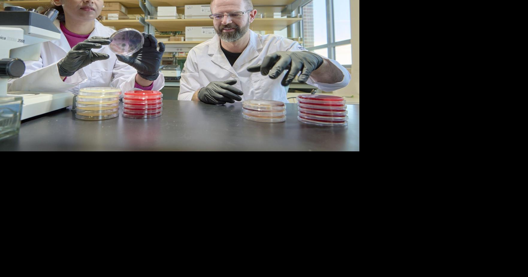 Out of Order: Montana State research in flux amid shifting federal ...