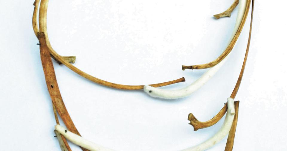 Artist Studio: April Hale, Jewelry accentuates circle of life | Art ...