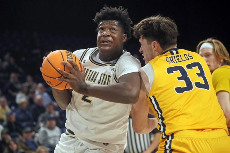 Montana State forward Brandon Walker enters transfer portal | Bobcats ...