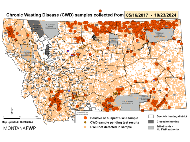 Flathead Valley's 1st case of Chronic Wasting Disease found | News ...