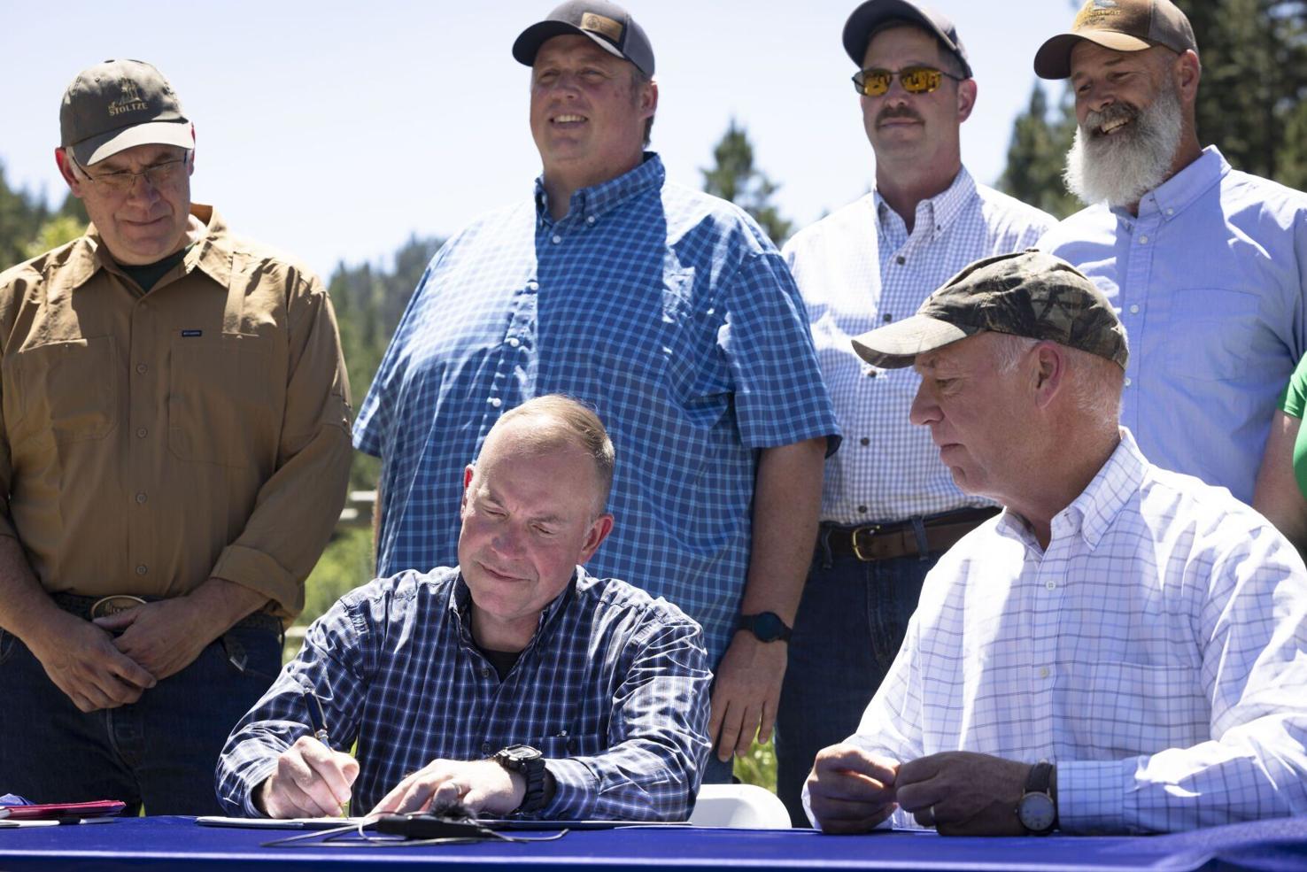 State, federal logging plans in western Montana advance | News ...